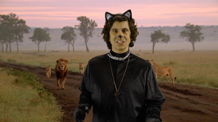 Cool Cats - CBeebies - BBC