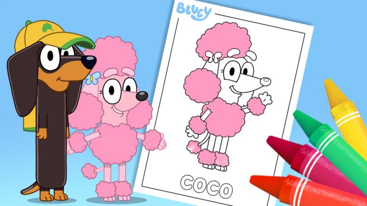 Bluey on CBeebies | Colouring sheets from Bluey - CBeebies - BBC