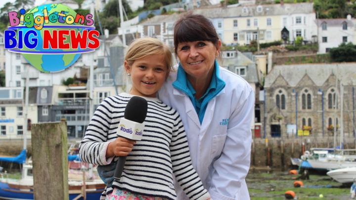 Fishmonger - CBeebies - BBC