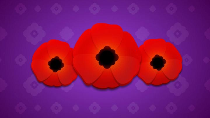 Poppy's Day - CBeebies - BBC
