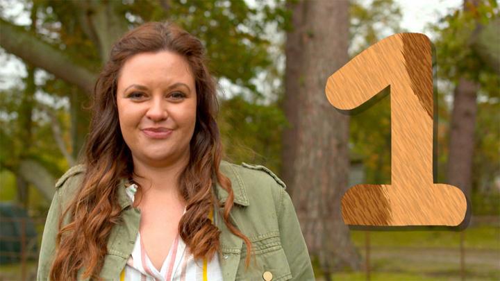 Ferne and Rory's Counting Song - CBeebies - BBC