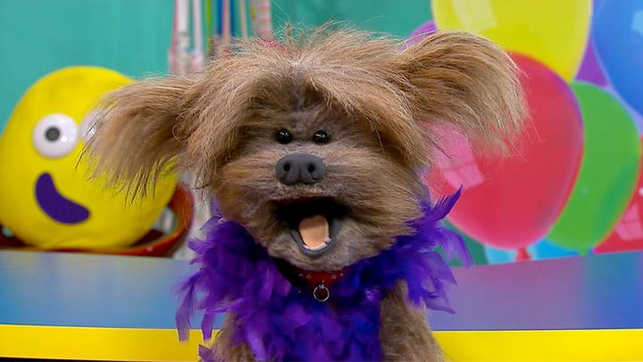 CBeebies New Year Countdown! - CBeebies - BBC