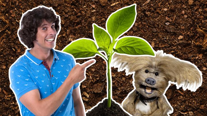 Get out and grow - CBeebies - BBC