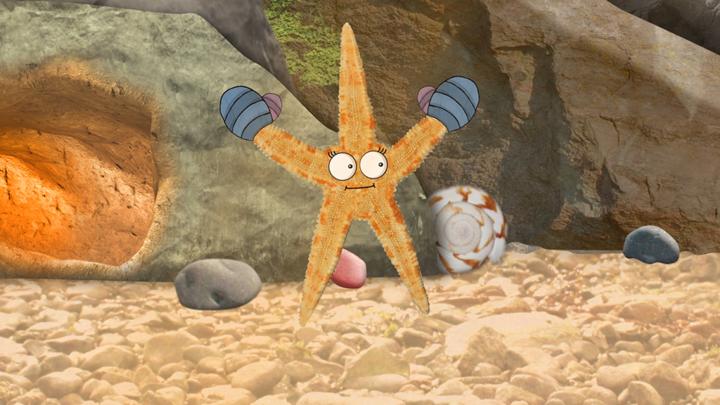 Meet Sally the Starfish - CBeebies - BBC