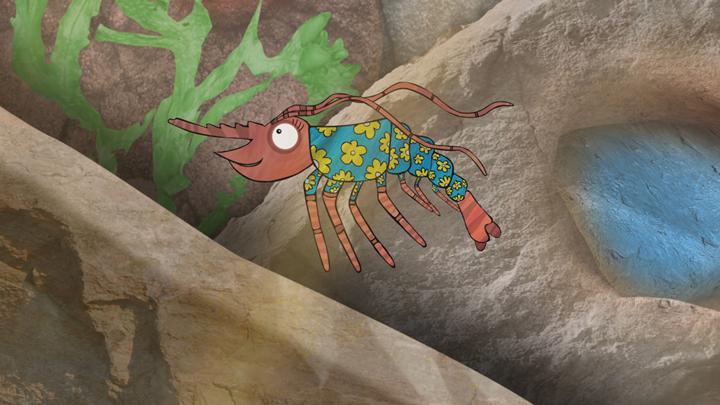 Meet Sheena the Shrimp - CBeebies - BBC