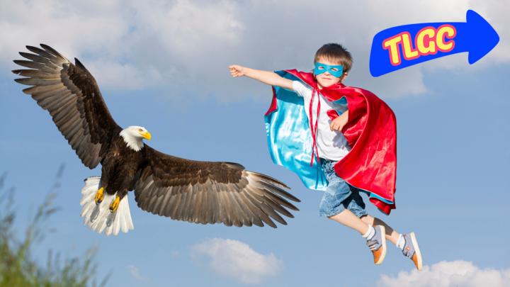 What is your animal superpower? - CBeebies - BBC