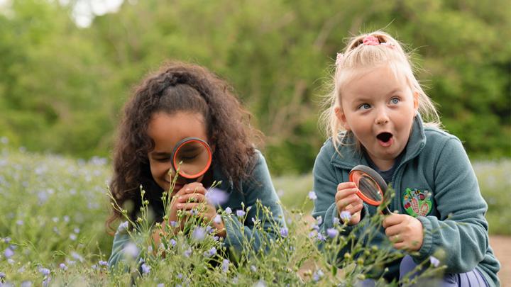 Go on your own Eco Quest - CBeebies - BBC