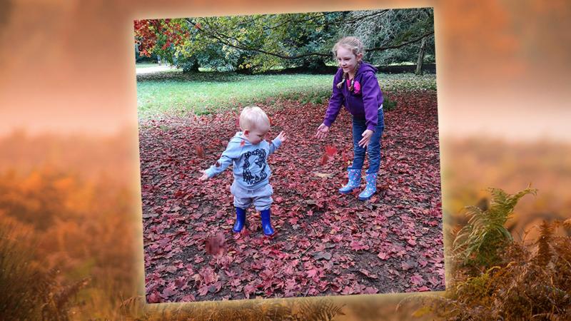 Send us your autumn photos - CBeebies - BBC