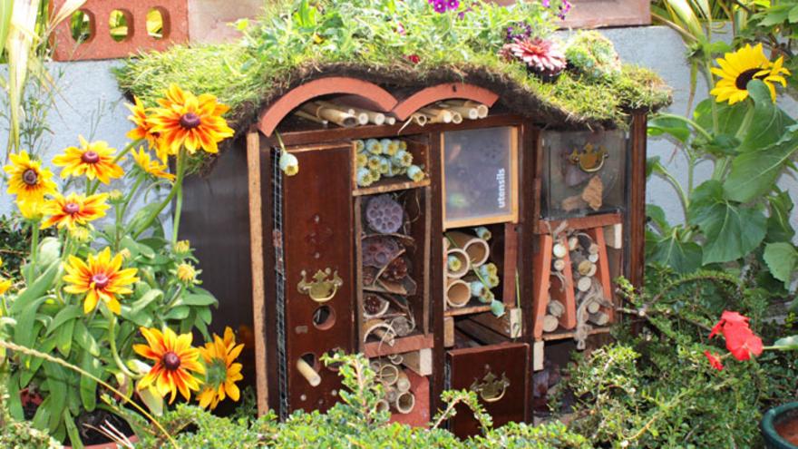 How to make a bug mansion - CBBC