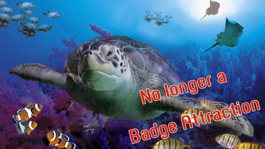 SEA LIFE Centres - CBBC