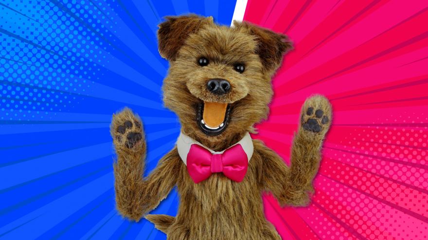 Ask Hacker Anything! - CBBC - BBC