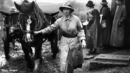 BBC - Information & Archives - WW1, poetry, music and life during the ...