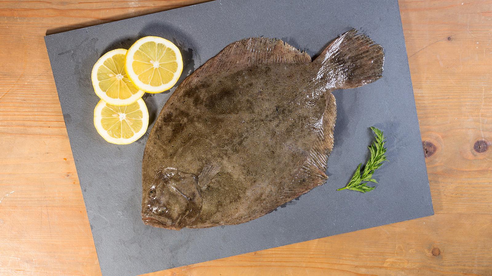 Turbot recipes - BBC Food