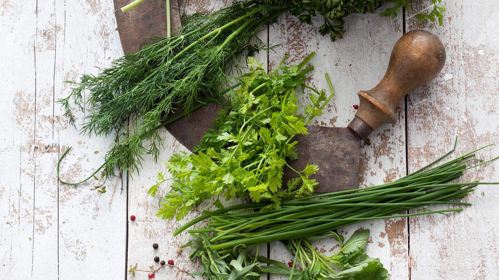 Savory recipes - BBC Food