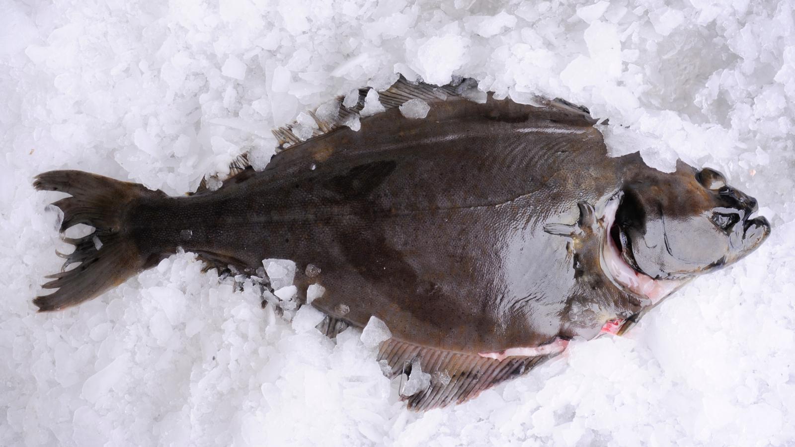 Plaice recipes - BBC Food