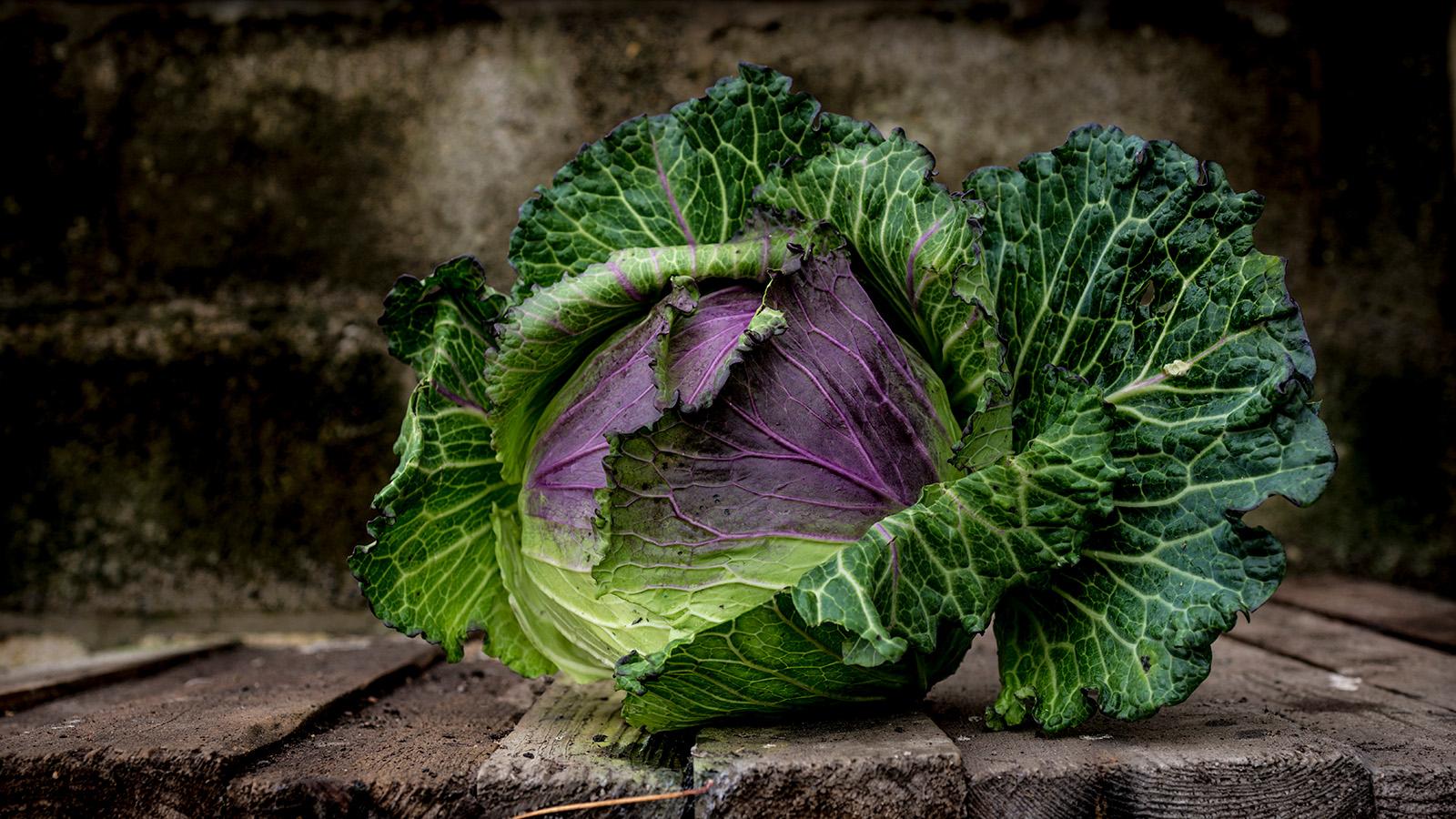 Green cabbage recipes - BBC Food