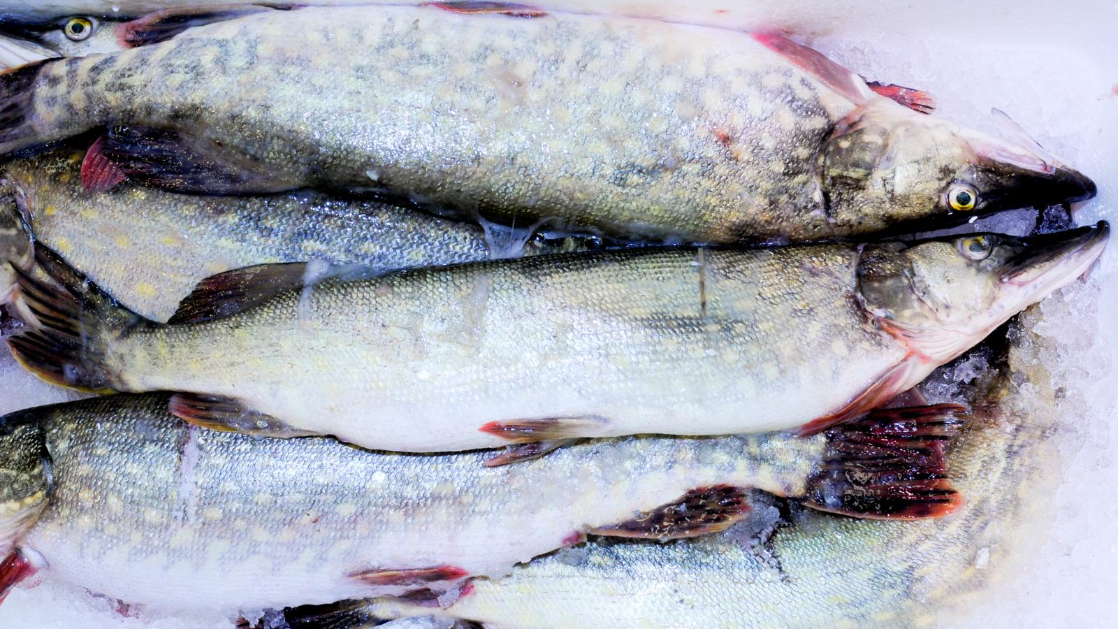 Ingredients - BBC Food