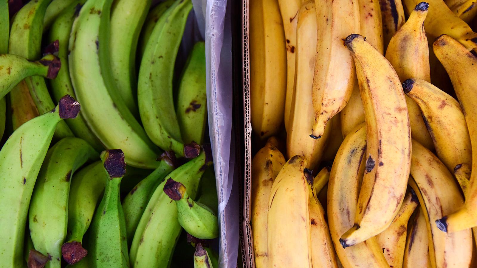 Ingredients | P - BBC Food