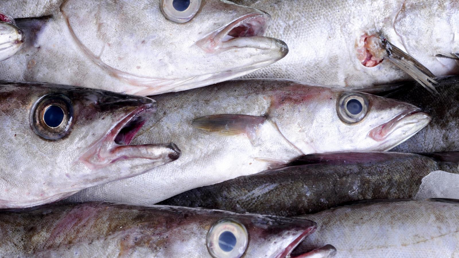 Ingredients | P - BBC Food