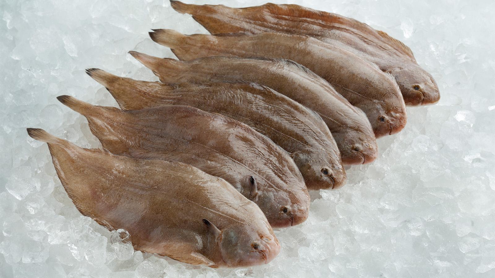 Ingredients | S - BBC Food