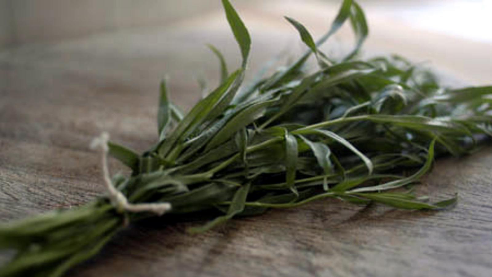 Ingredients | T - BBC Food