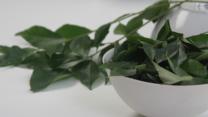 Hyssop recipes - BBC Food