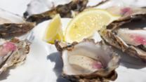 Shellfish recipes - BBC Food