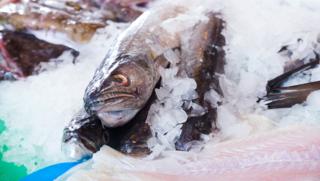 John Dory recipes - BBC Food