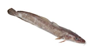 Ling recipes - BBC Food