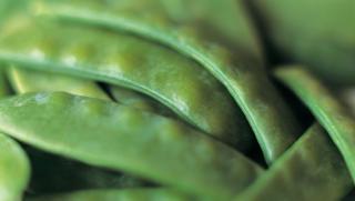 Mangetout recipes - BBC Food