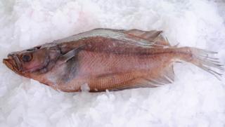 Dab recipes - BBC Food