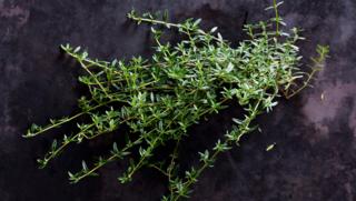 Savory recipes - BBC Food