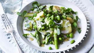 Occasions - BBC Food