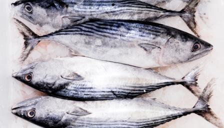 Oily fish recipes - BBC Food