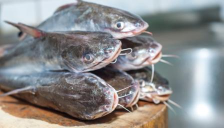 Parrot fish recipes - BBC Food