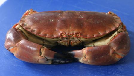 Ingredients | C - BBC Food