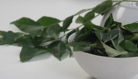 Chervil recipes - BBC Food