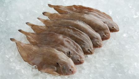 Halibut recipes - BBC Food