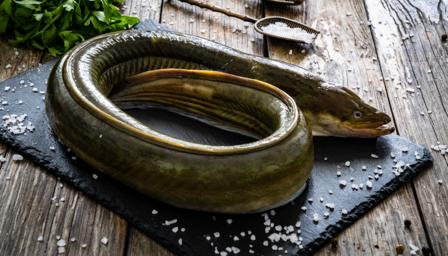 Oily fish recipes - BBC Food