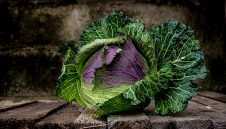 Cabbage recipes - BBC Food