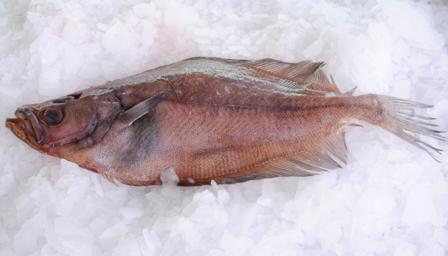 Flatfish recipes - BBC Food