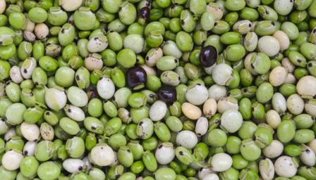 Ingredients | P - BBC Food