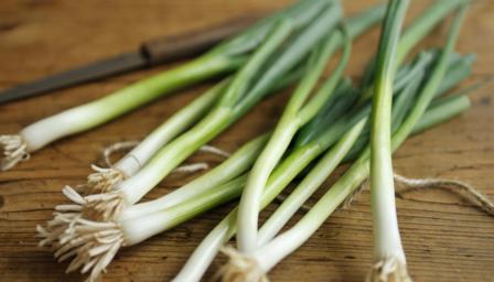 Ingredients | S - BBC Food
