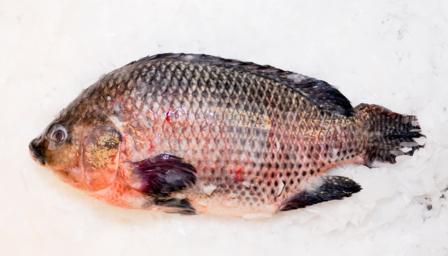 Fish roe recipes - BBC Food