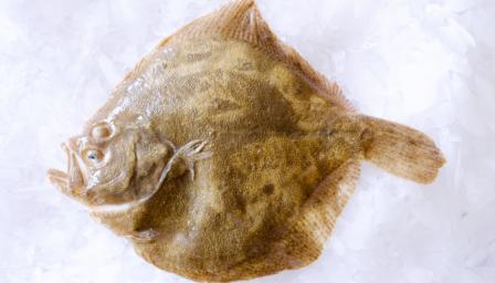Plaice recipes - BBC Food