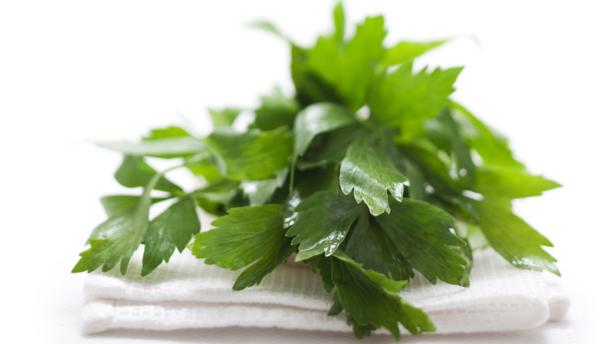 BBC - Food - Lovage recipes