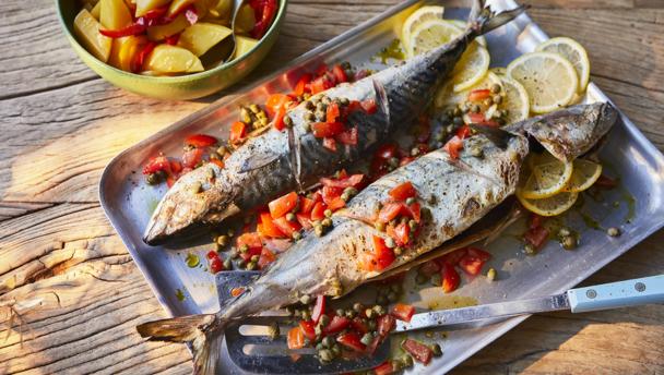 Mackerel recipes - BBC Food