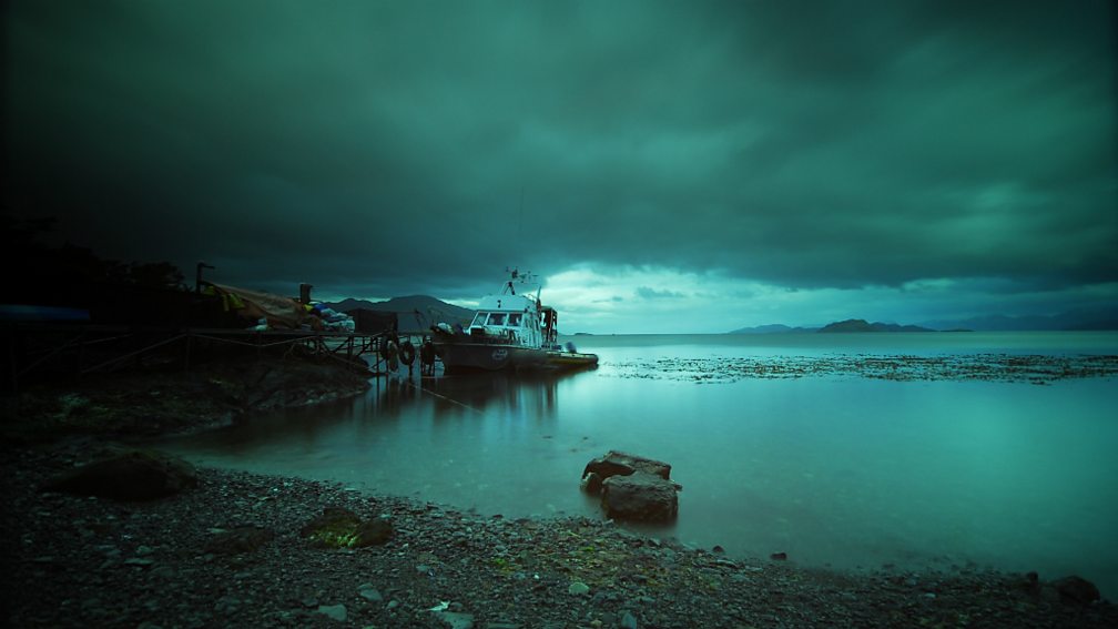 BBC Two - The Dark: Nature's Nighttime World