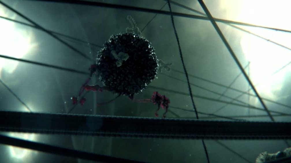 BBC Two - Secret Universe: The Hidden Life of the Cell