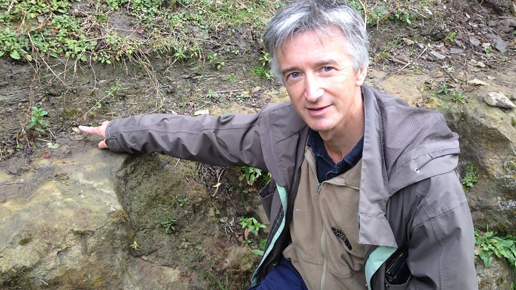 BBC World Service - Discovery, The Age We Made - Part 2
